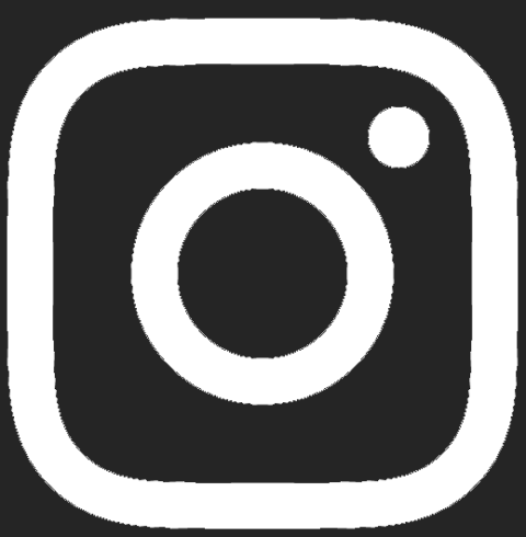 SCHAKE-VECTOR - Innovativ - Individual - Technologie